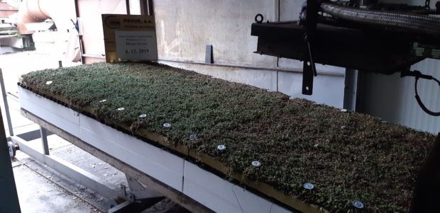 Vegetační extenzivní střecha ISOVER s certifikací BROOF (t3) | HOME